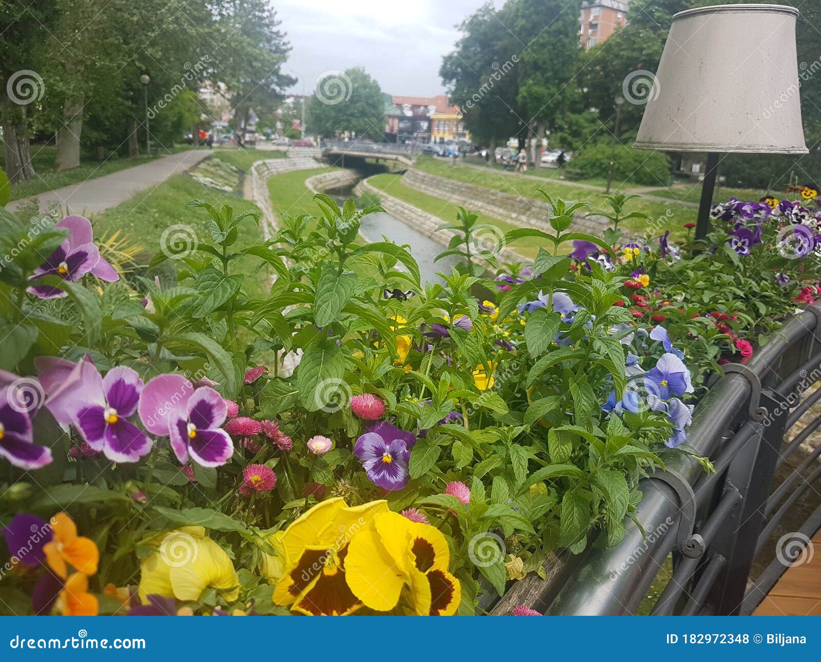 30,444 Flowers River Trees Photos - Free & Royalty-Free Stock Photos ...