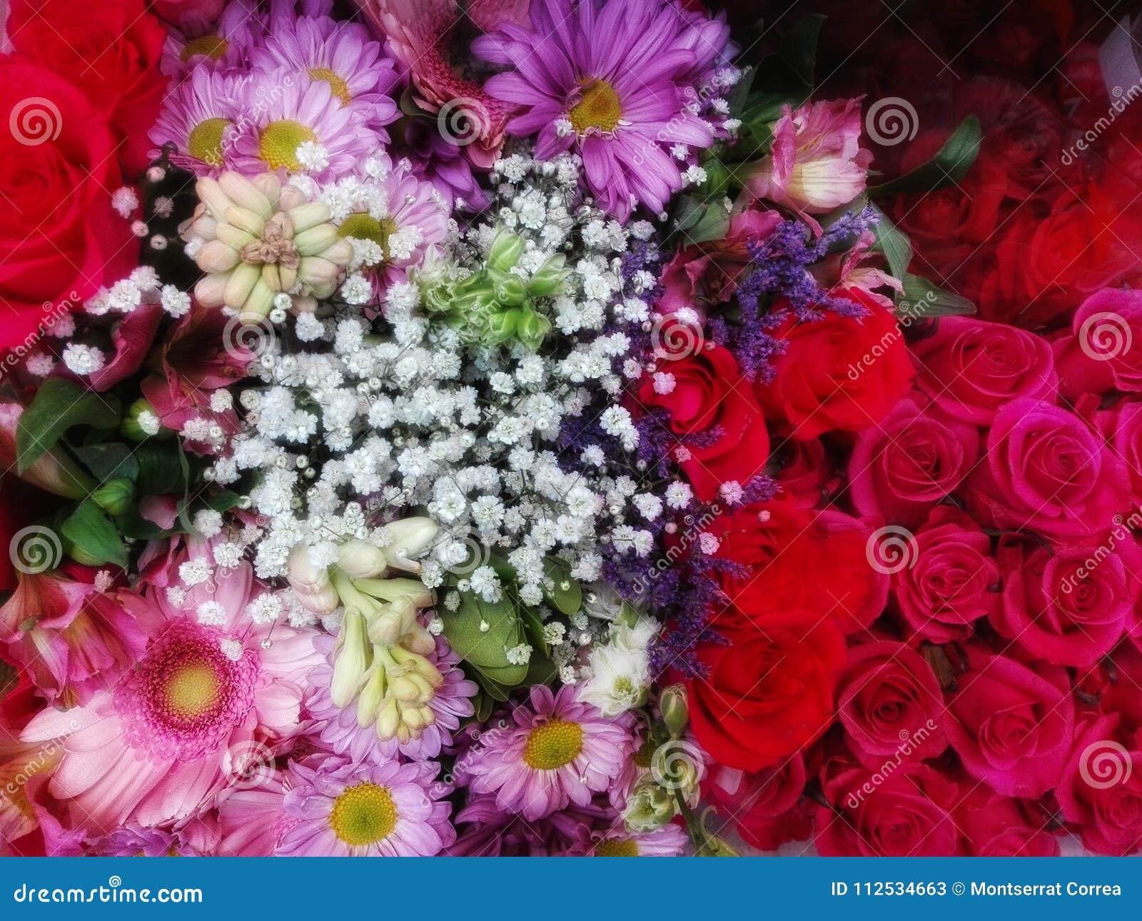 Spring colors stock image. Image of colors, season, delicate - 112534663