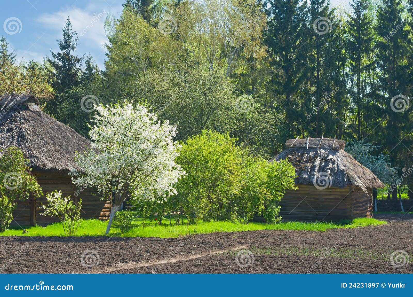 Spring Come To an Old Ukranian Farm Stock Image - Image of bush ...
