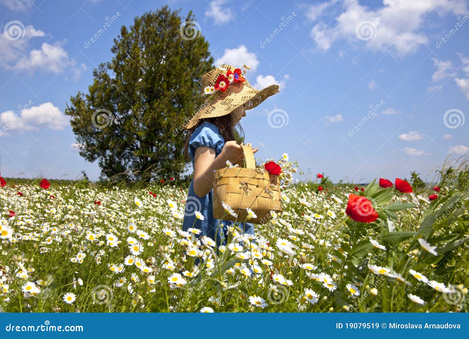 Spring comes stock image. Image of nature, berry, lifestyle - 19079519