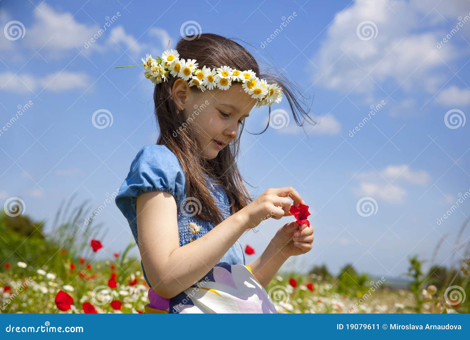 Spring comes stock image. Image of ecology, green, flowers - 19079611