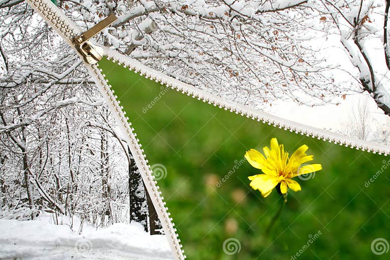 Spring is coming stock image. Image of leaves, symbolism - 22090457