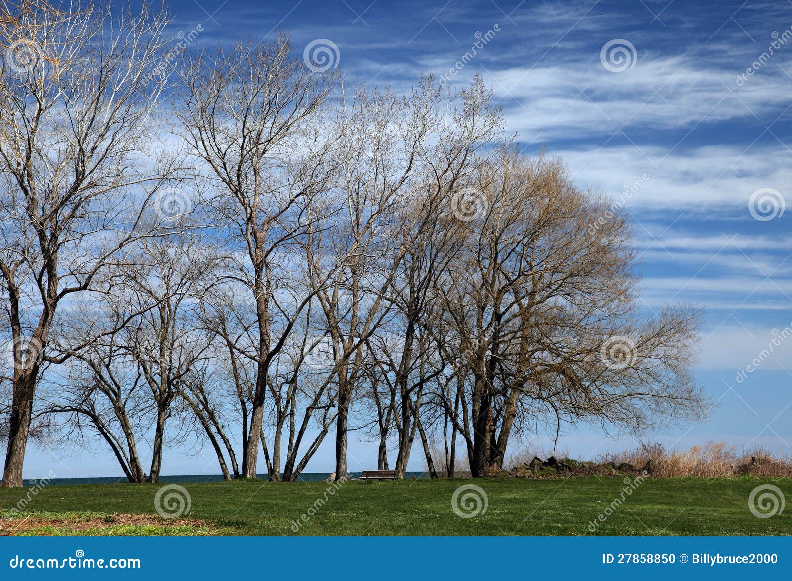Spring is coming stock photo. Image of fall, grass, clouds - 27858850