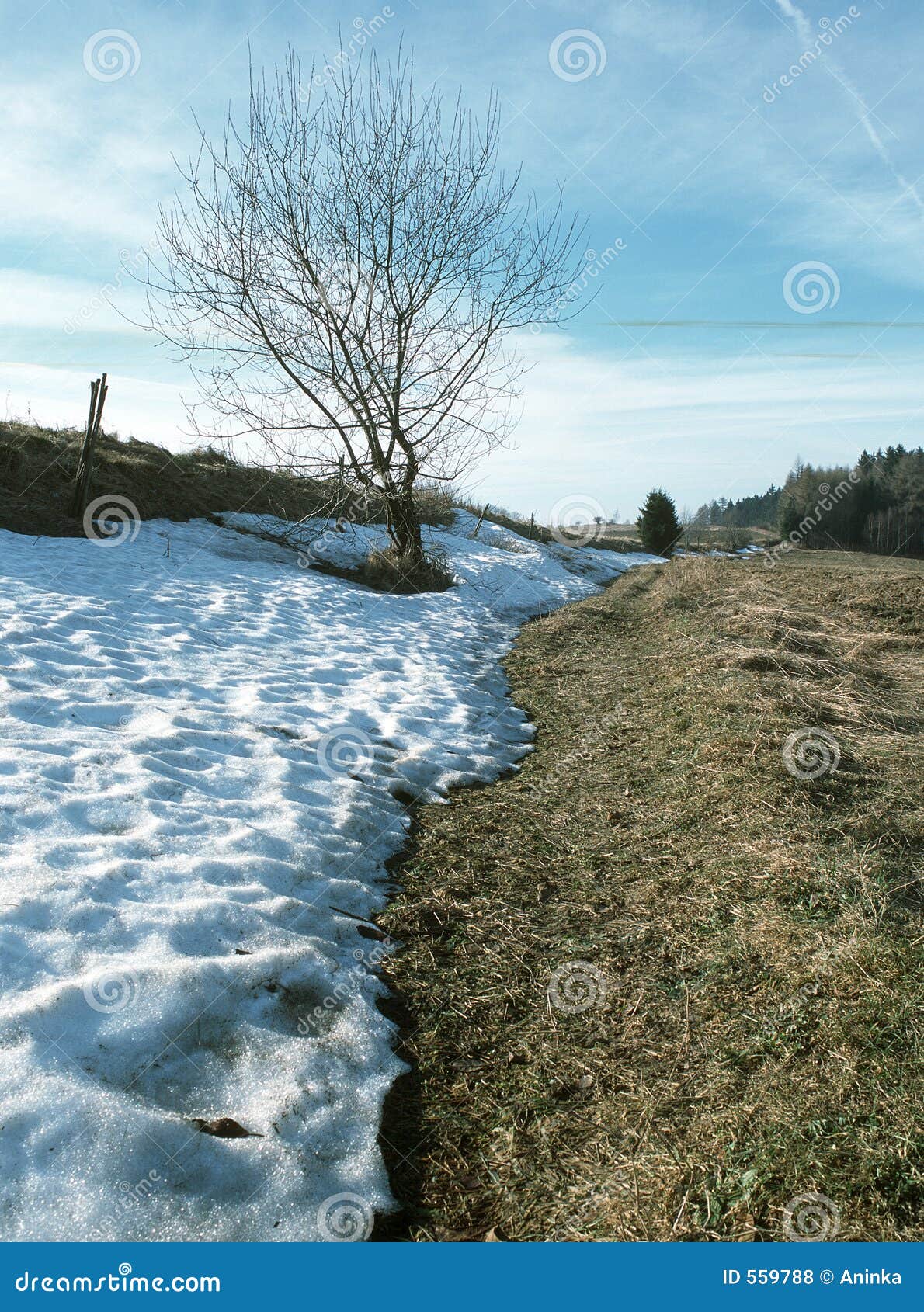 Spring is coming stock photo. Image of border, winters - 559788