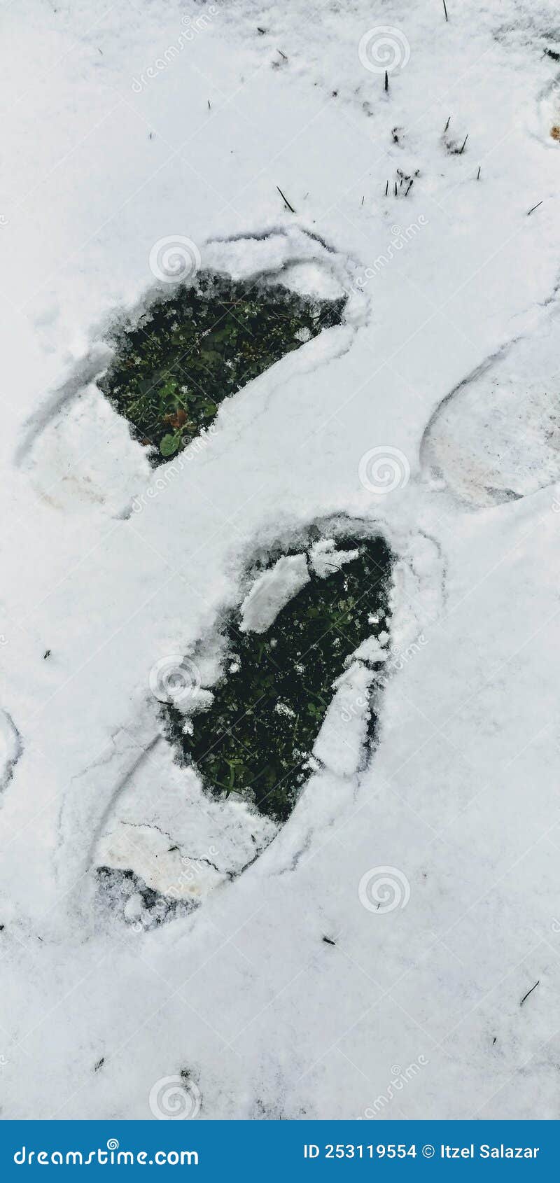 Spring is coming stock photo. Image of sketch, drawing - 253119554