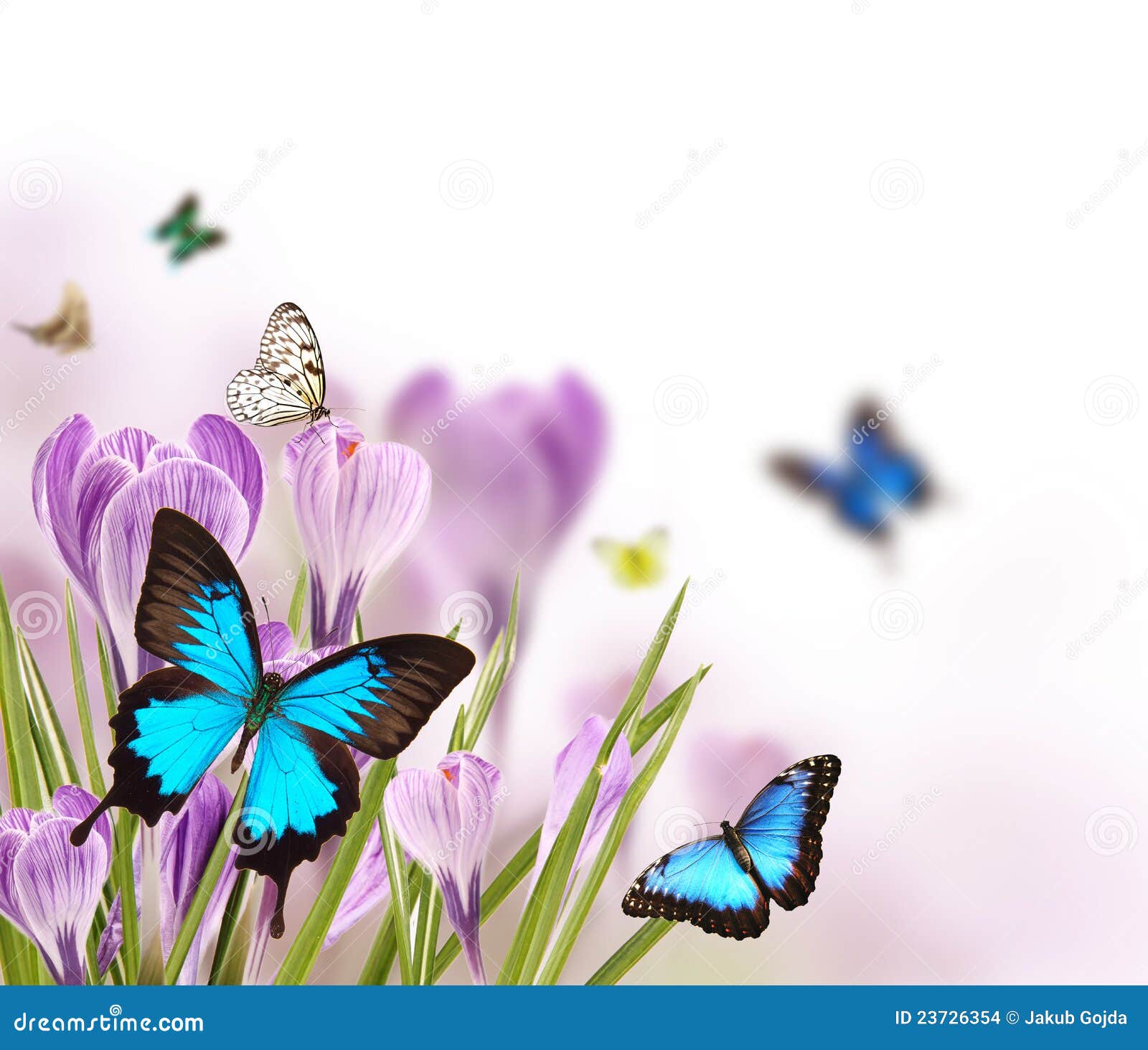 Spring concept stock photo. Image of blue, brightness - 23726354