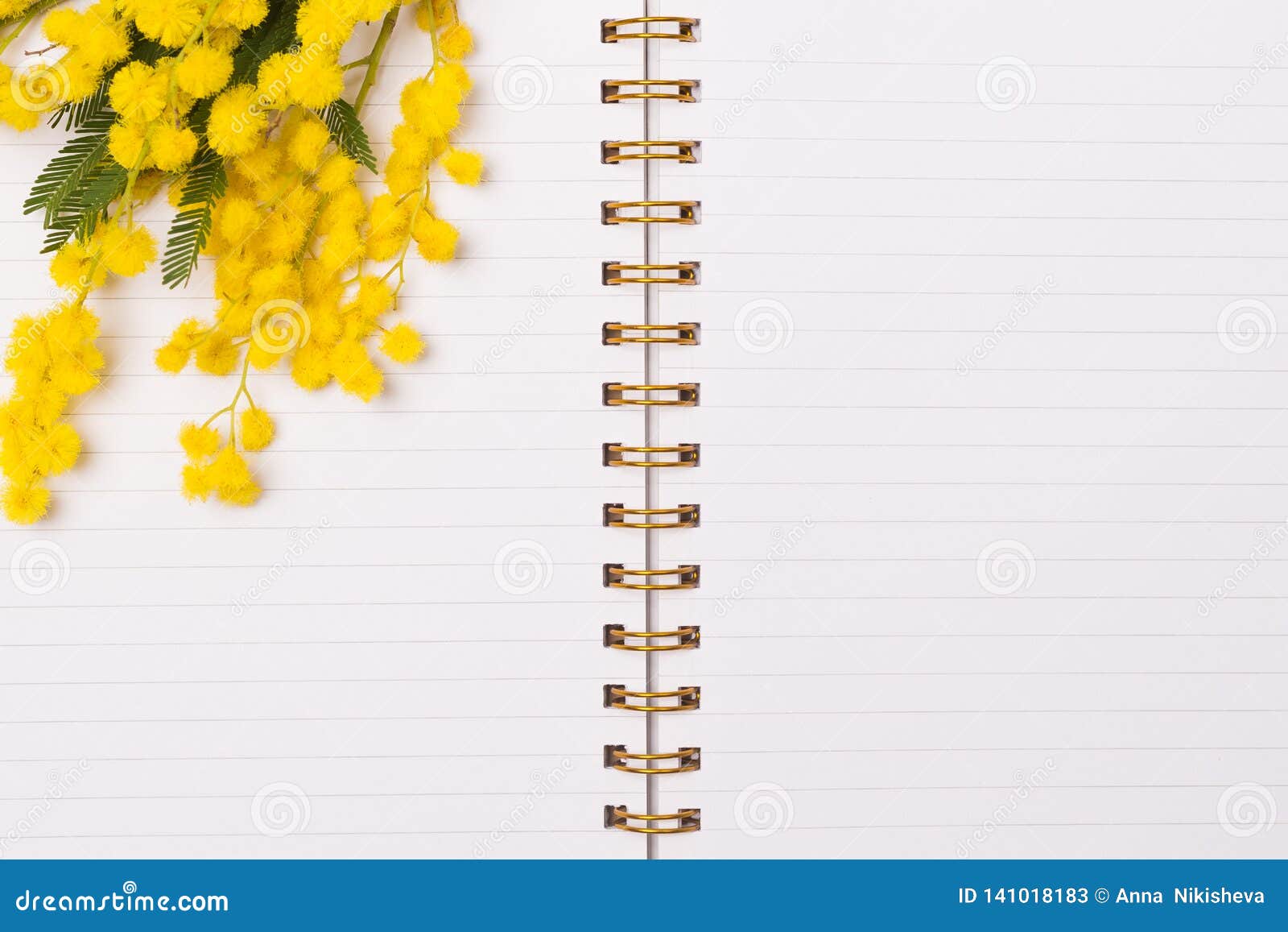 Spring Concept. Close-up. Blank Paper Notebook with Mimosa Flowers on ...