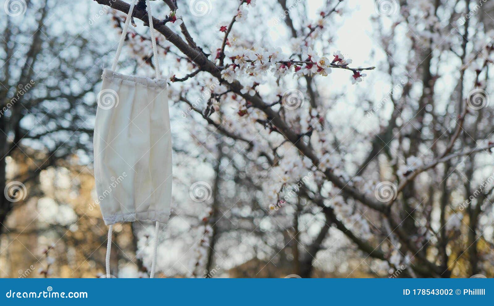 Spring 2020 Concept Flowering Tree Environmental Effects during ...