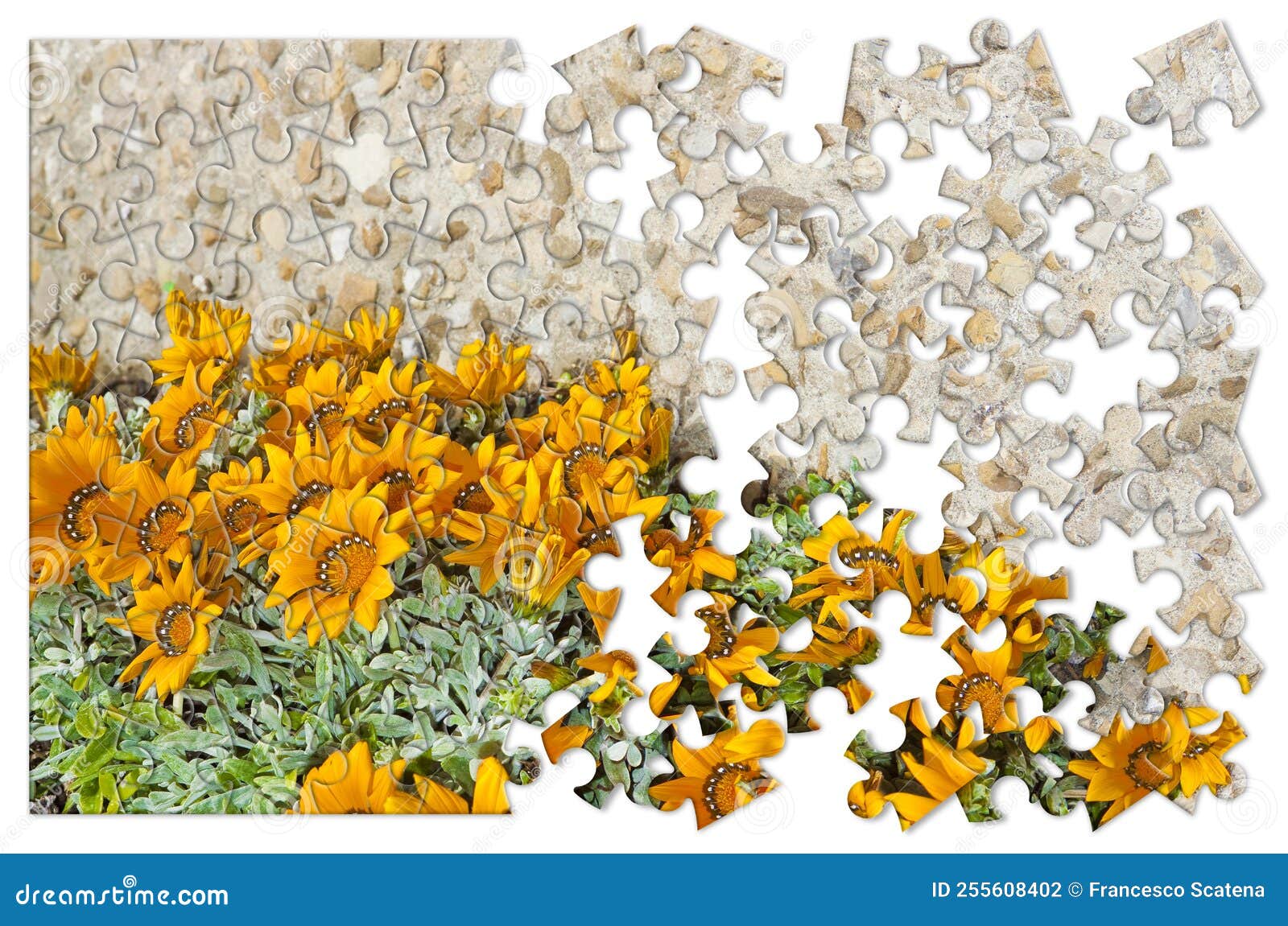 Spring Concept in Puzzle Shape with Flowers Stock Photo - Image of ...