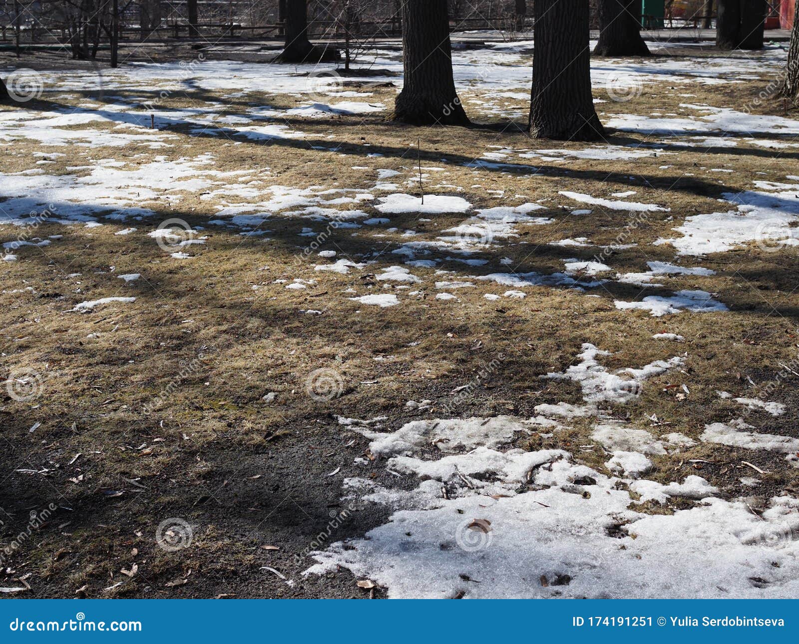 Spring Concept. Snow is Melting Stock Image - Image of green, patch ...