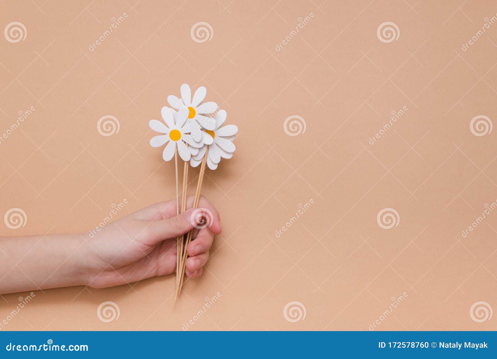 Spring Congratulations and a Daisy on a Light Background in Your Hand ...