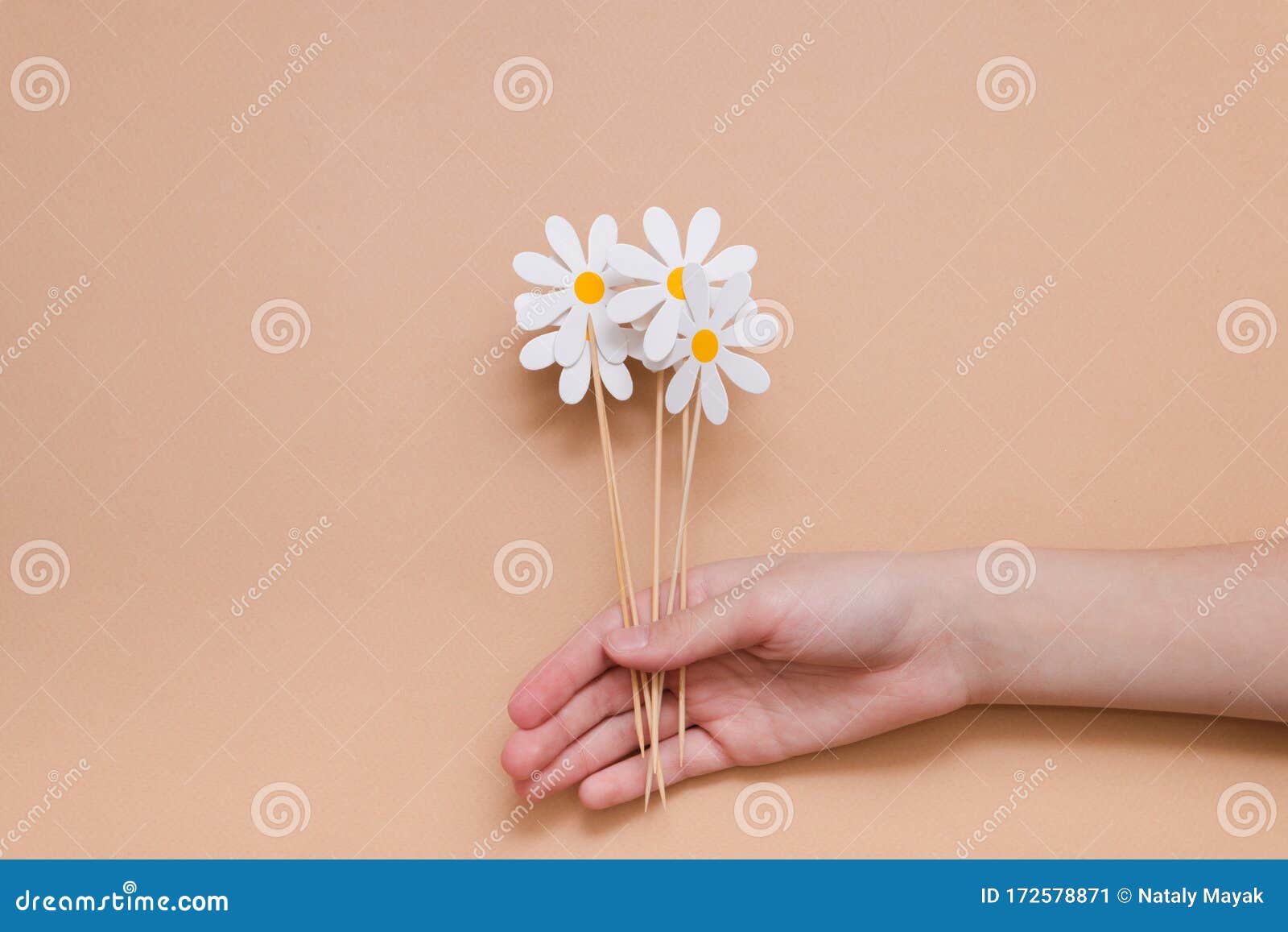 Spring Congratulations and a Daisy on a Light Background in Your Hand ...