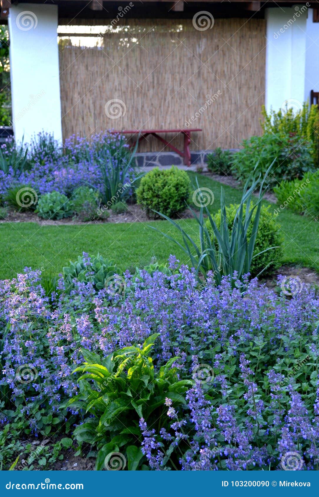Spring cottage garden stock photo. Image of cottage - 103200090