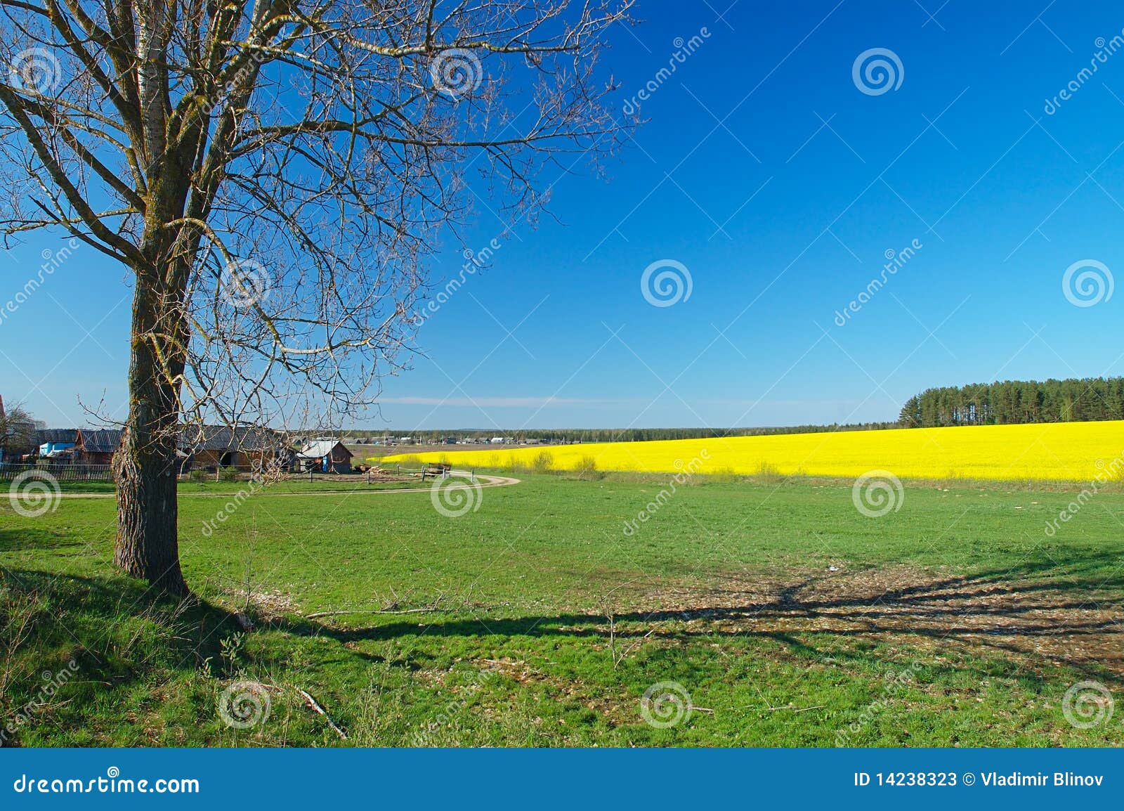 Spring in the country stock image. Image of spring, rural - 14238323