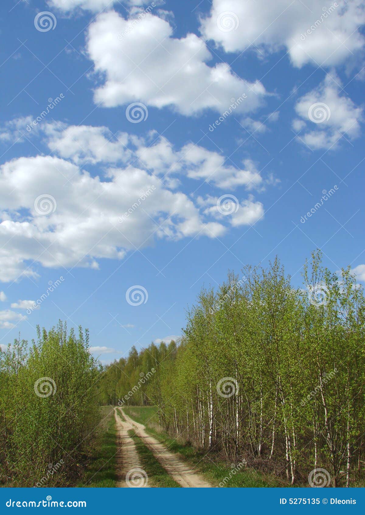 Spring country road stock image. Image of road, season - 5275135