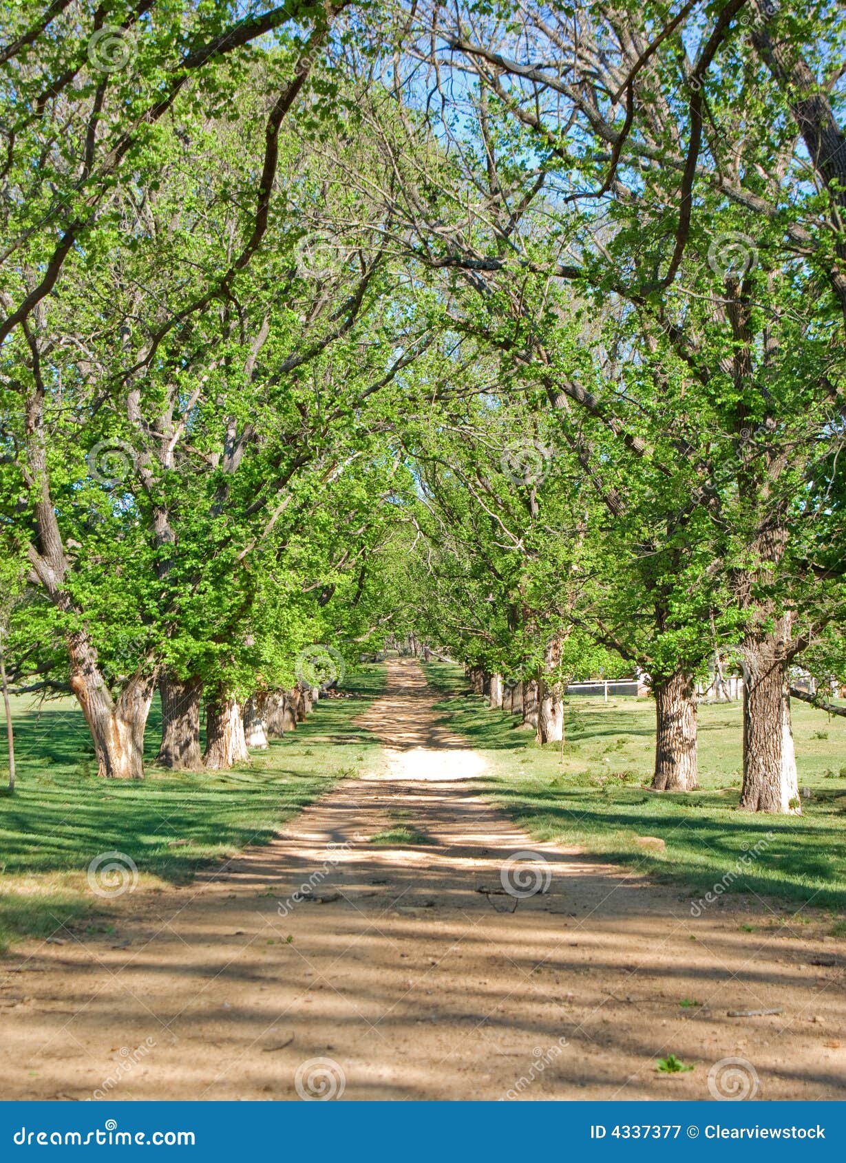 Spring Country or Rural Road Stock Image - Image of beautiful, nature ...