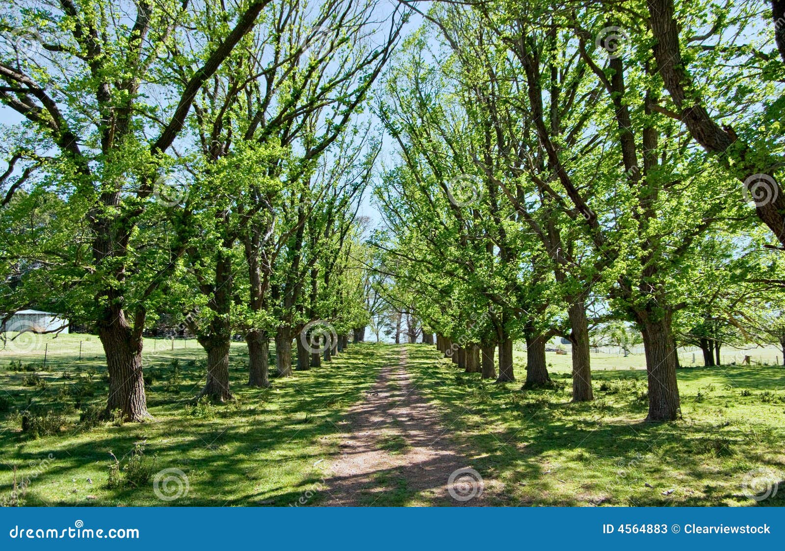 Spring country rural road stock image. Image of travel - 4564883