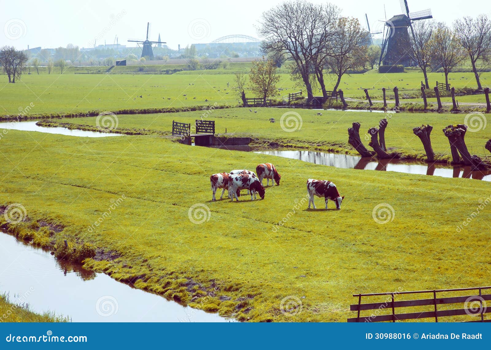 Spring country side stock photo. Image of country, environment - 30988016