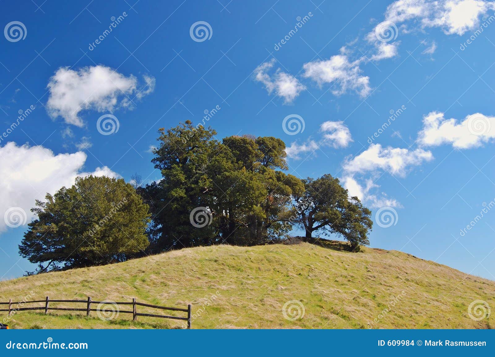 Spring countryside stock photo. Image of trees, hillside - 609984