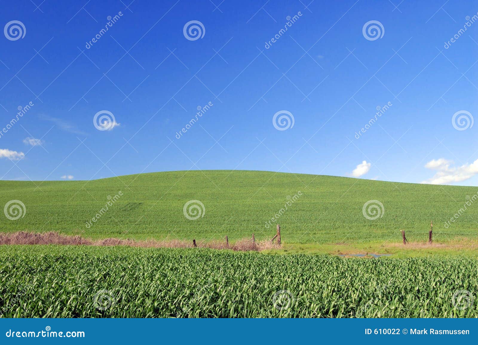 Spring countryside stock photo. Image of open, golden, rural - 610022