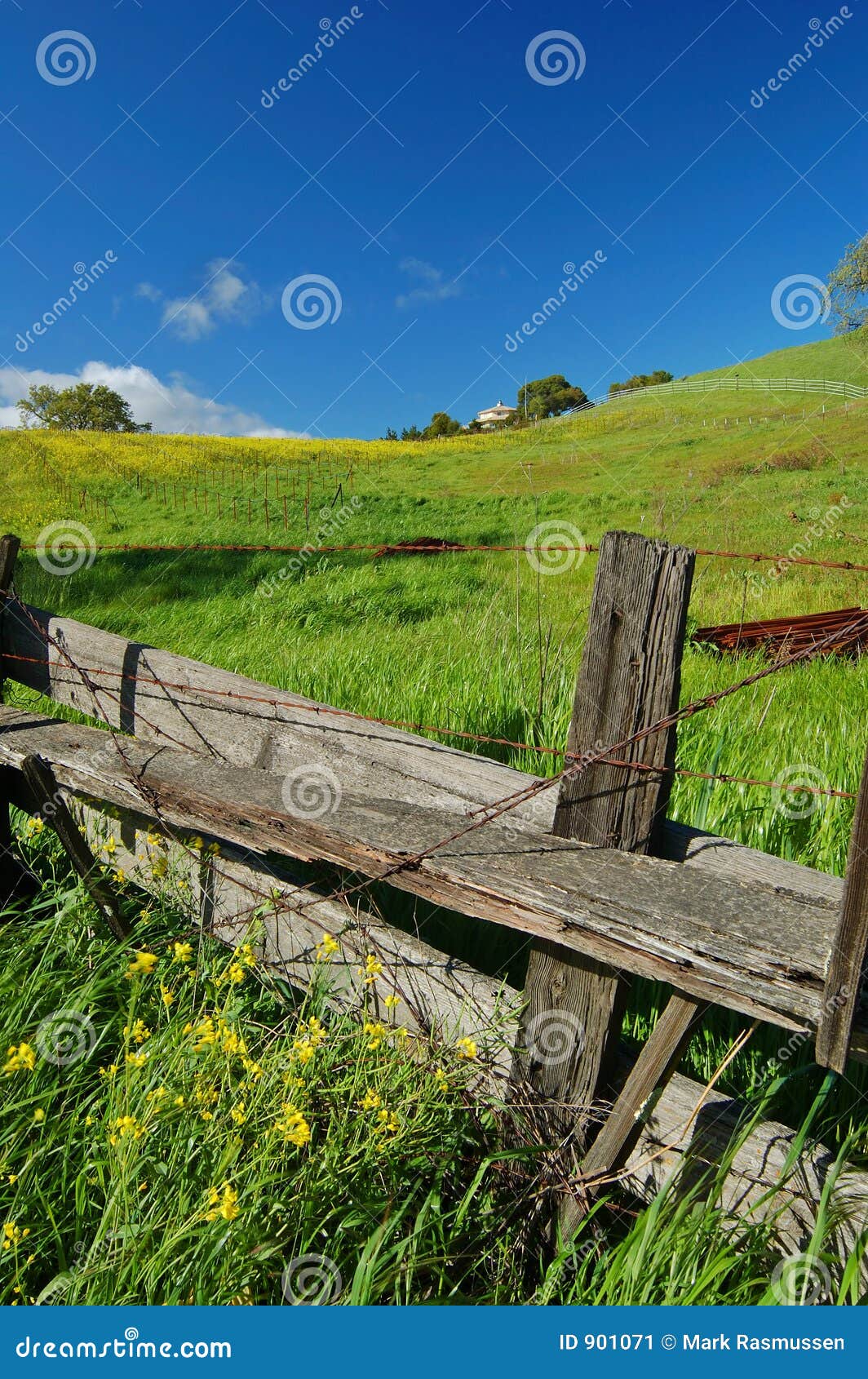 Spring countryside stock image. Image of summer, spring - 901071