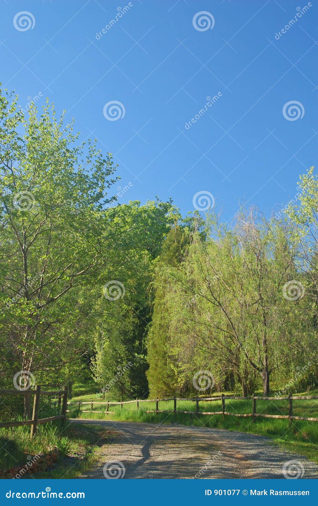 Spring countryside stock image. Image of farmland, landscape - 901077