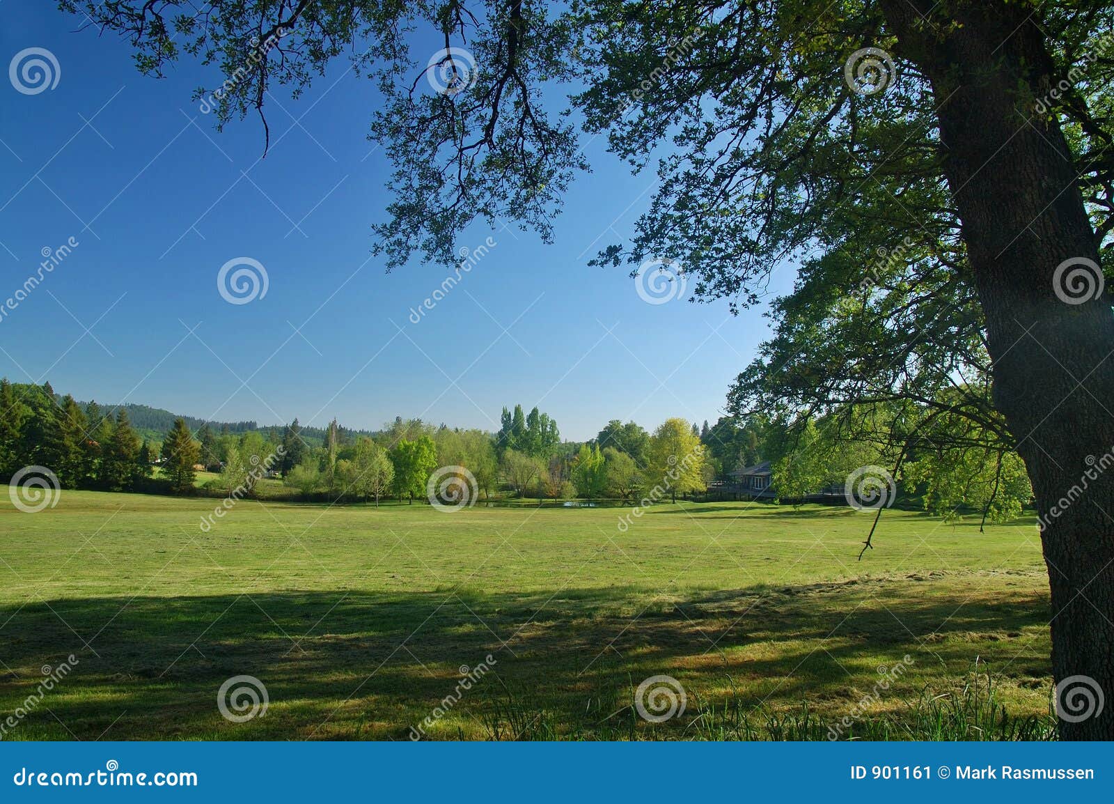 Spring countryside stock image. Image of rural, field, flora - 901161