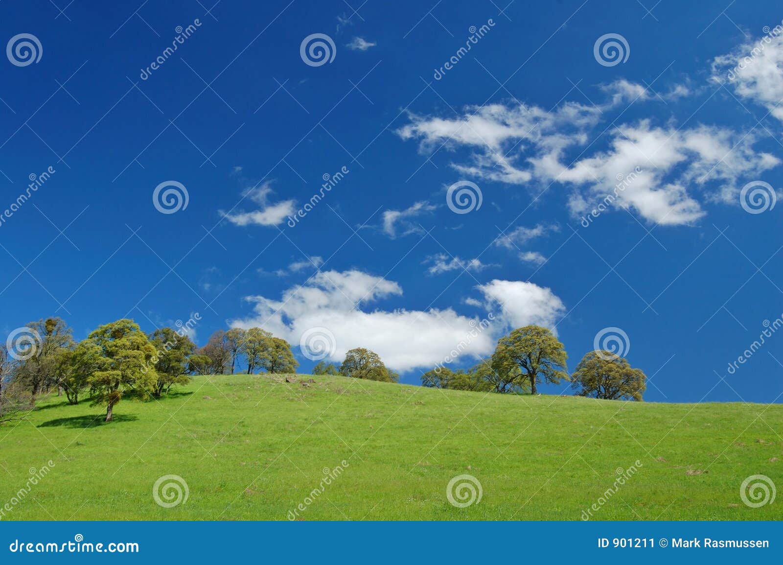 Spring countryside stock image. Image of growing, green - 901211
