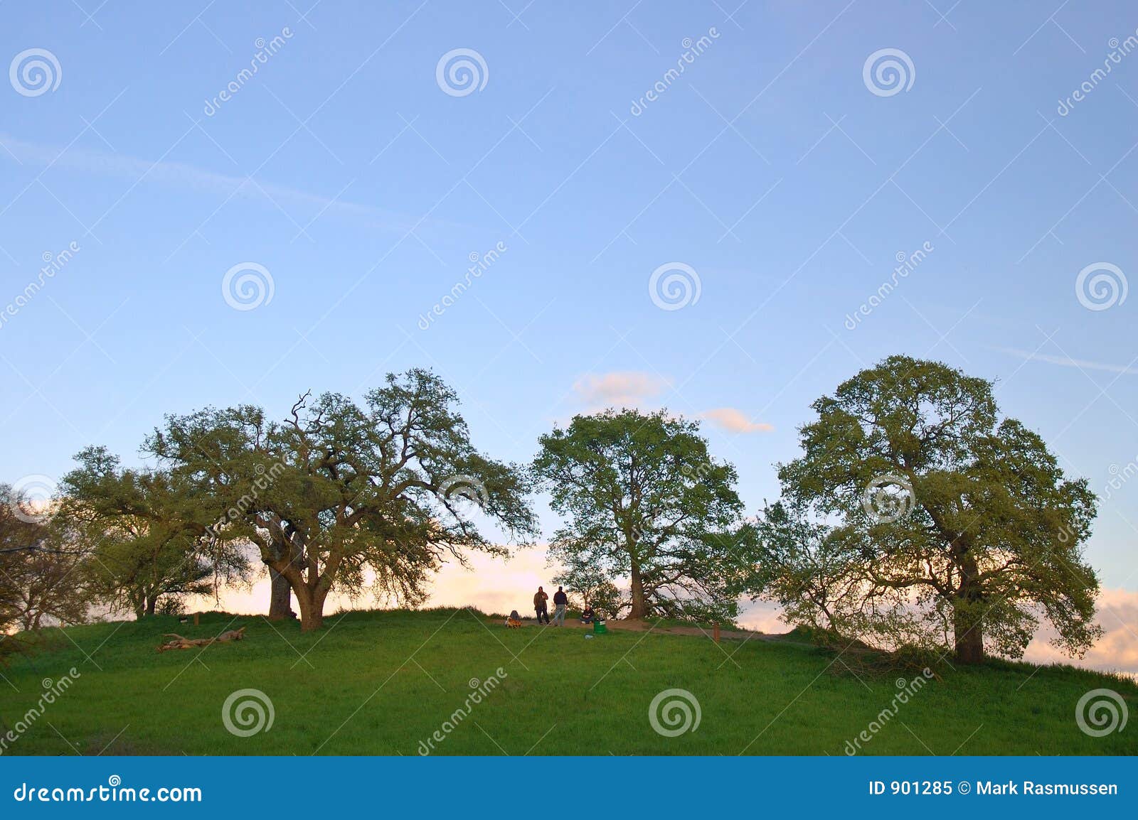 Spring countryside stock image. Image of summer, idyllic - 901285