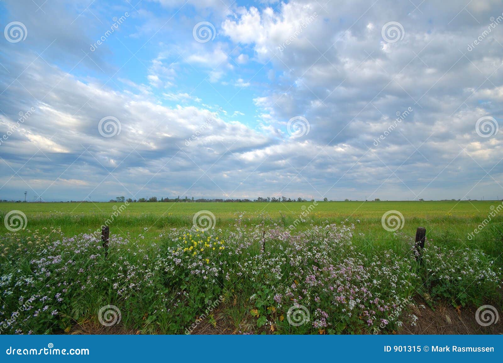 Spring countryside stock image. Image of idyllic, country - 901315