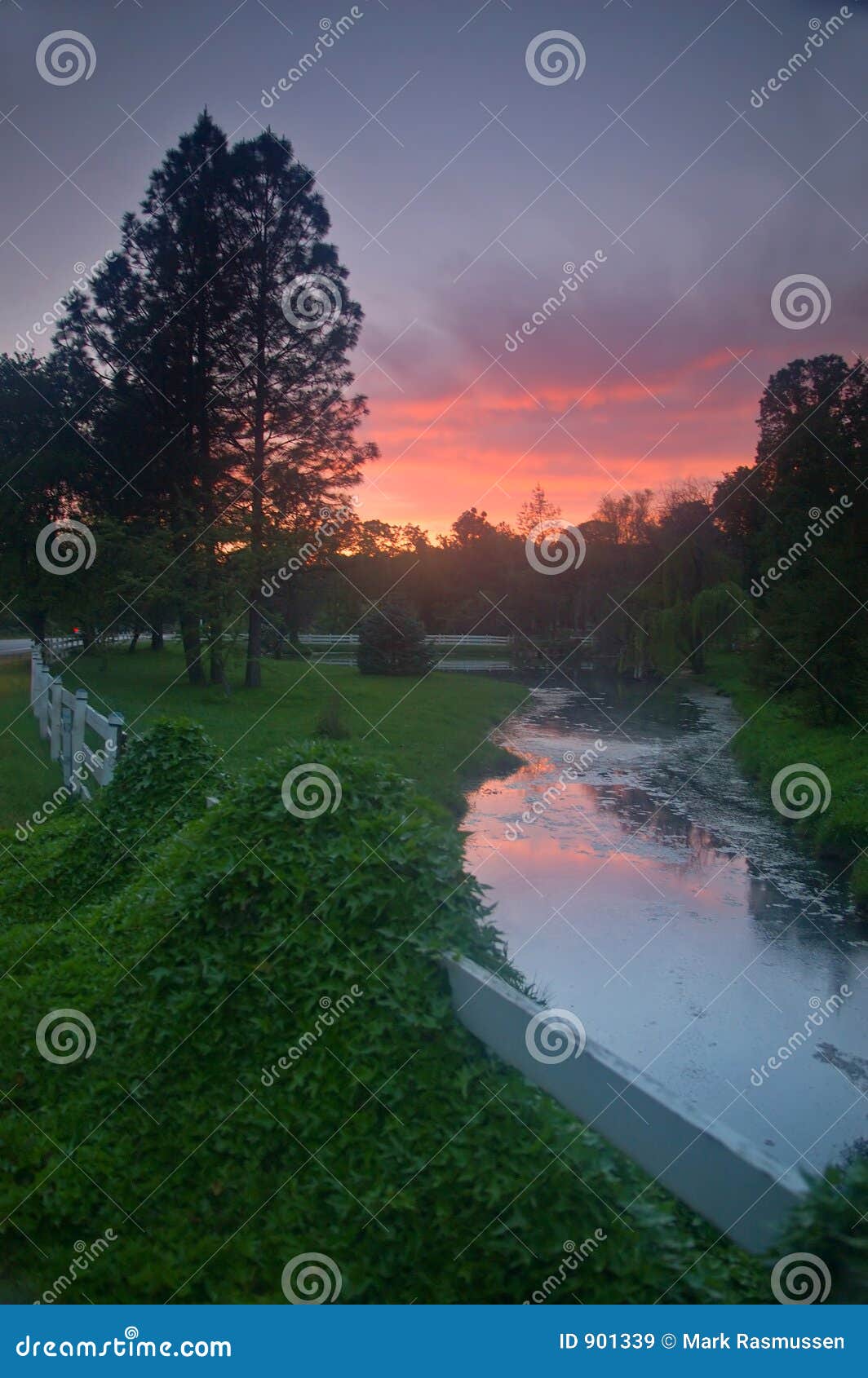 Spring countryside stock image. Image of field, trees, meadow - 901339