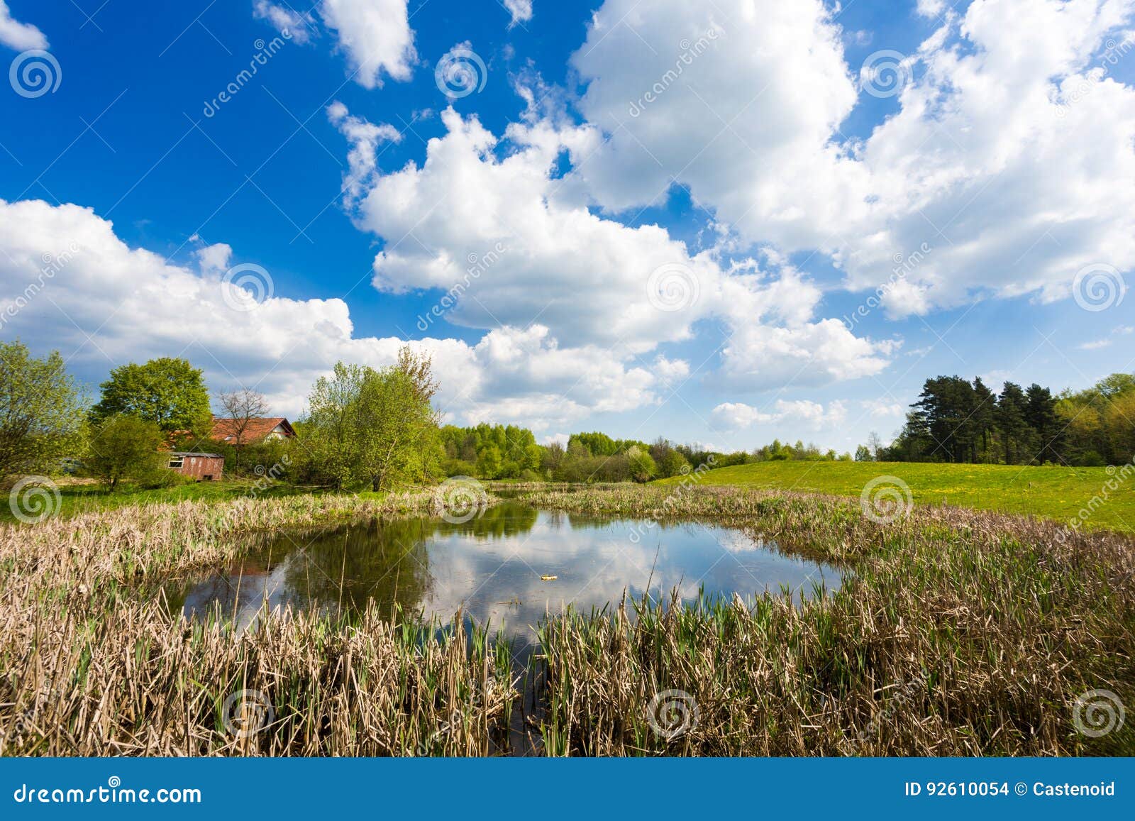 Spring in the countryside stock photo. Image of tree - 92610054