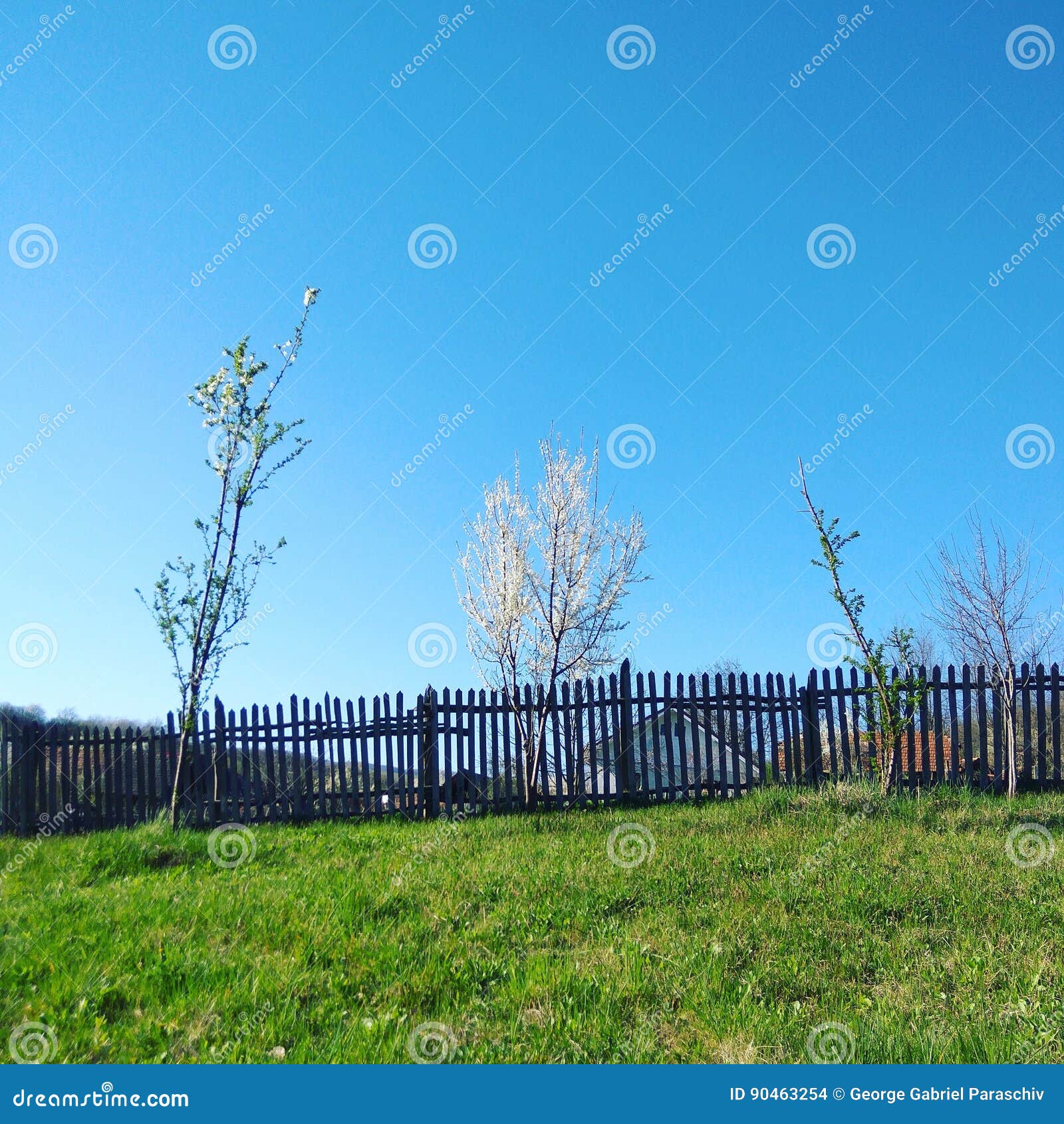 Spring Countryside Landscape - Peaceful Blue Sky Stock Photo - Image of ...
