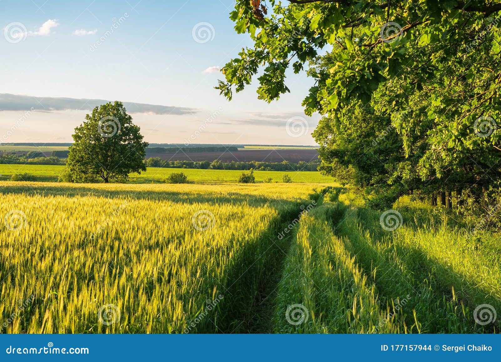 Spring Countryside Landscape on a Sunny Evening Stock Photo - Image of ...