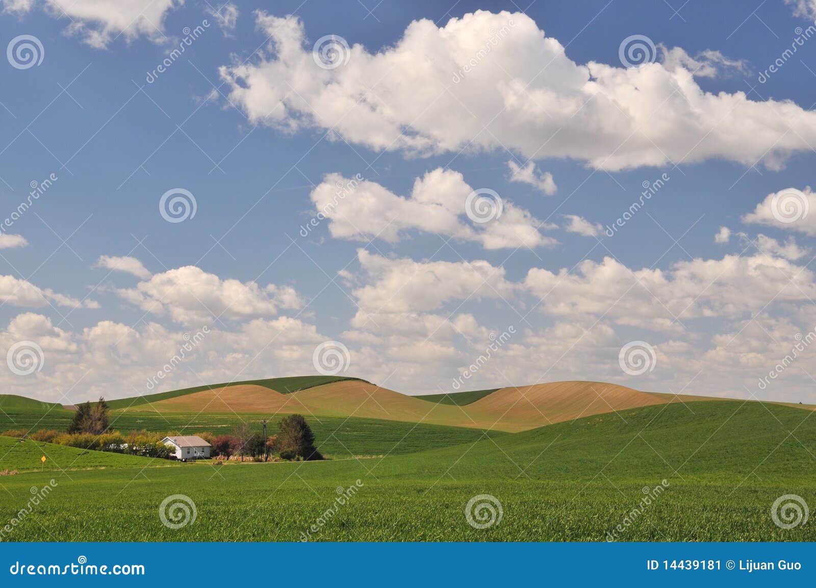 Spring Countryside Scene in Colfax Stock Image - Image of landscape ...