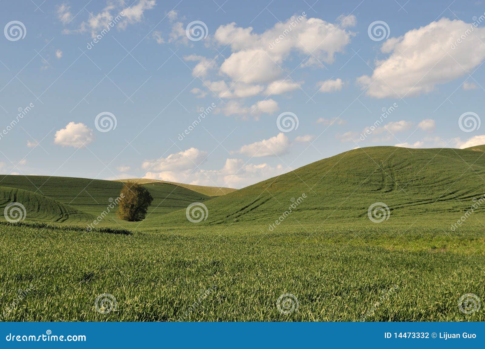 Spring Countryside Scene in Colfax Stock Photo - Image of agriculture ...