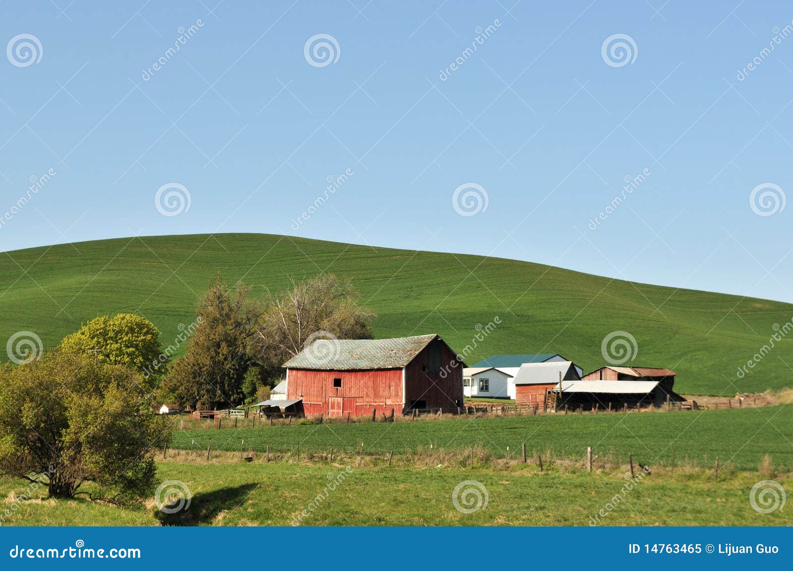 Spring Countryside Scene in Colfax Stock Image - Image of grain ...