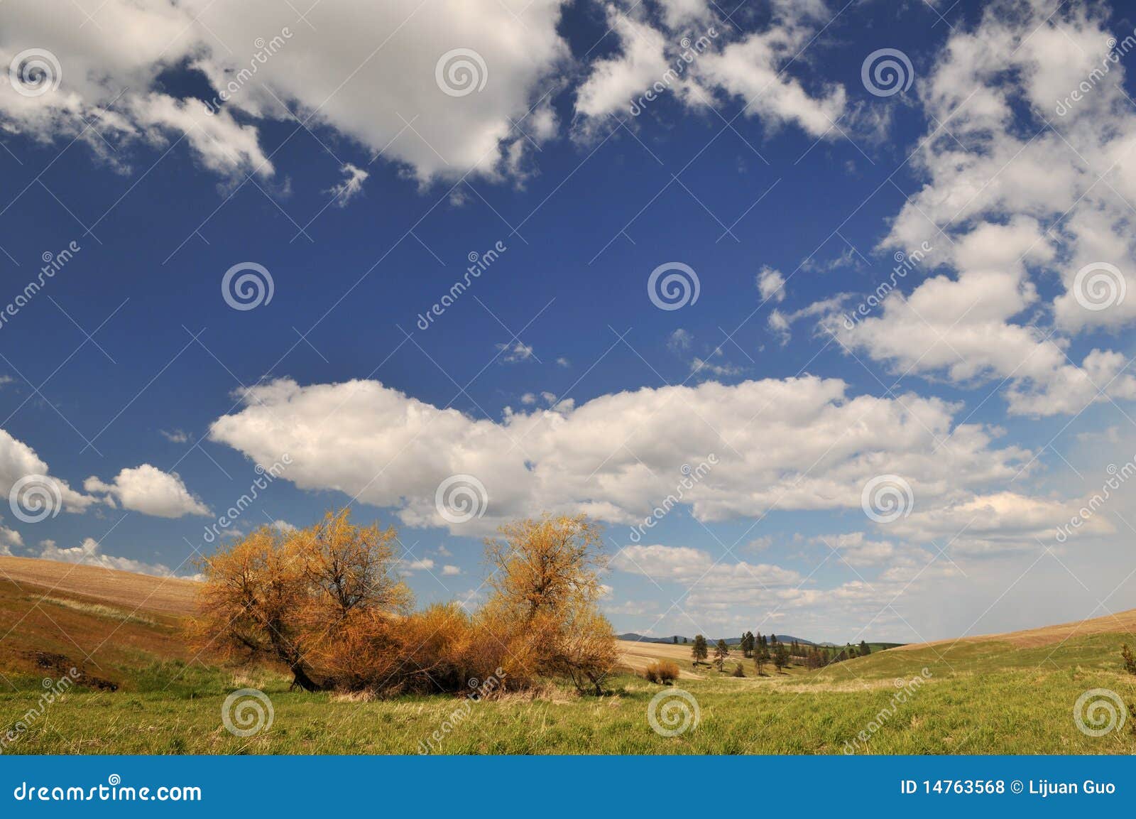 Spring Countryside Scene in Colfax Stock Photo - Image of landscape ...