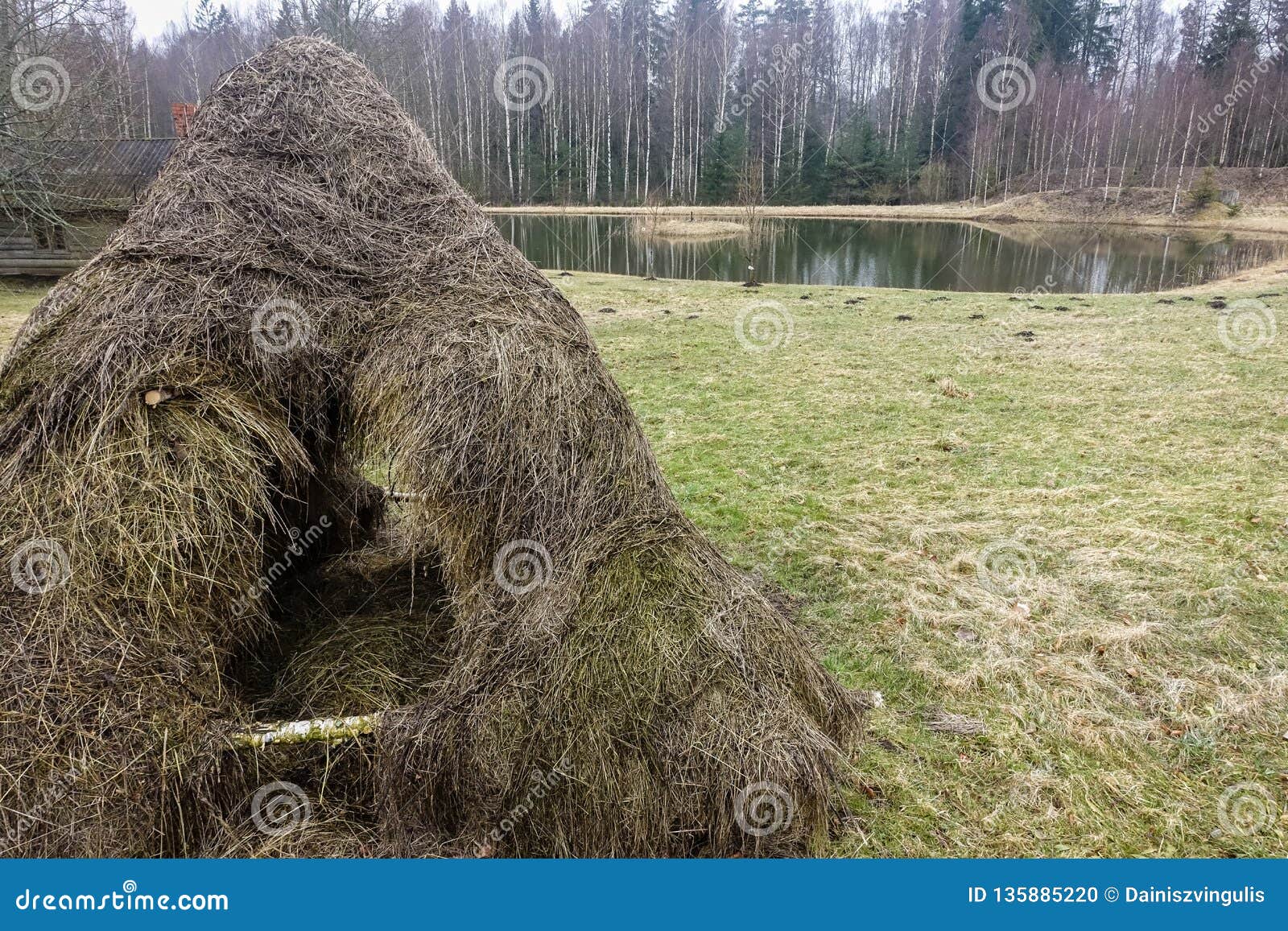 A Haystack with Old Hay in the Field Stock Photo - Image of countryside ...