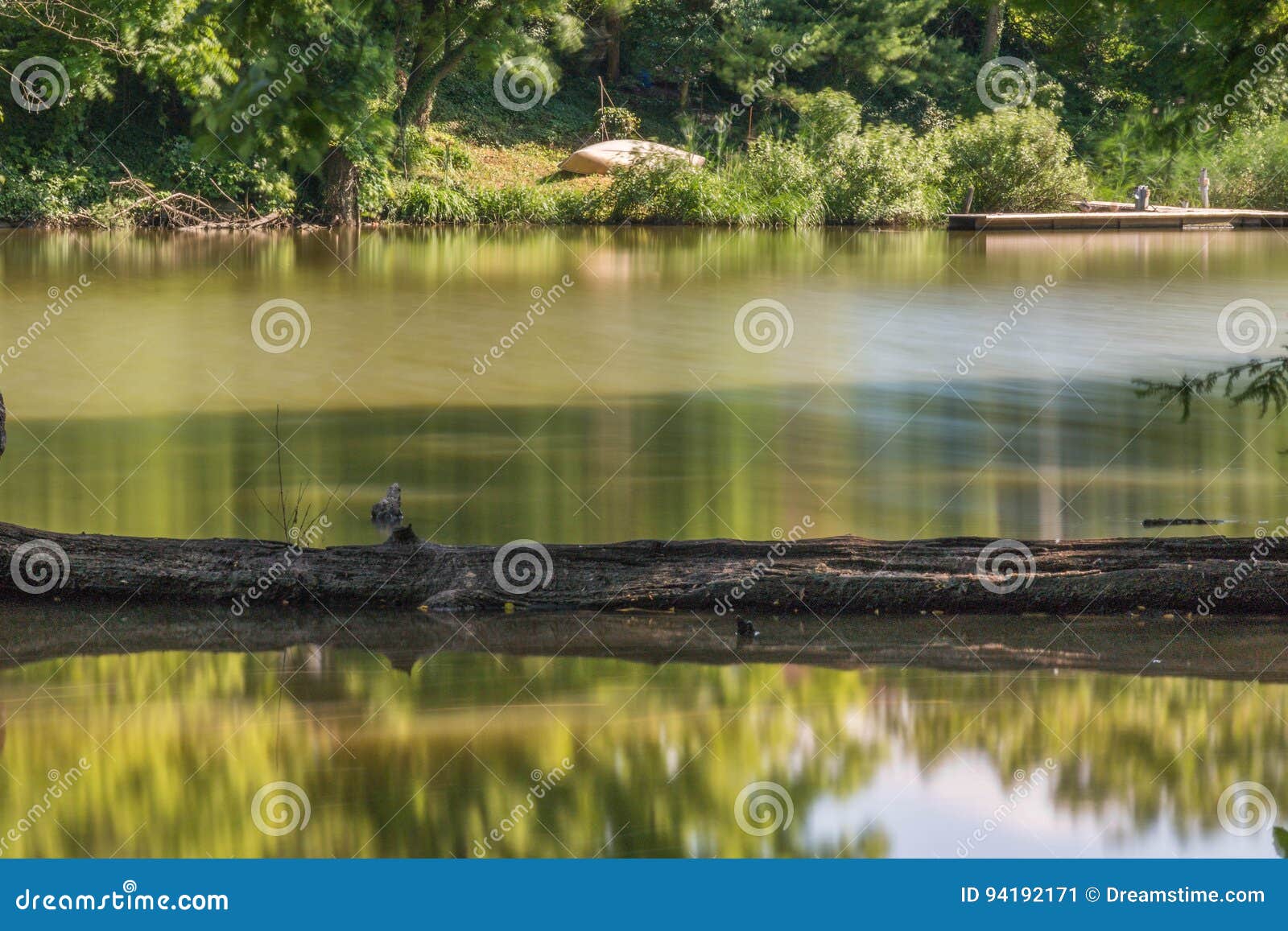 Spring Creek stock image. Image of scene, exposure, daytime - 94192171