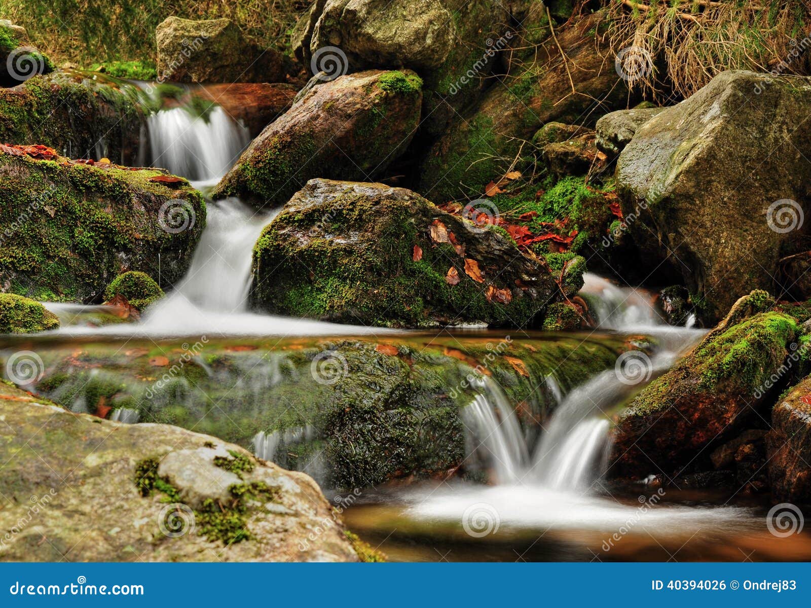 Spring creek stock photo. Image of outdoor, tree, mountain - 40394026