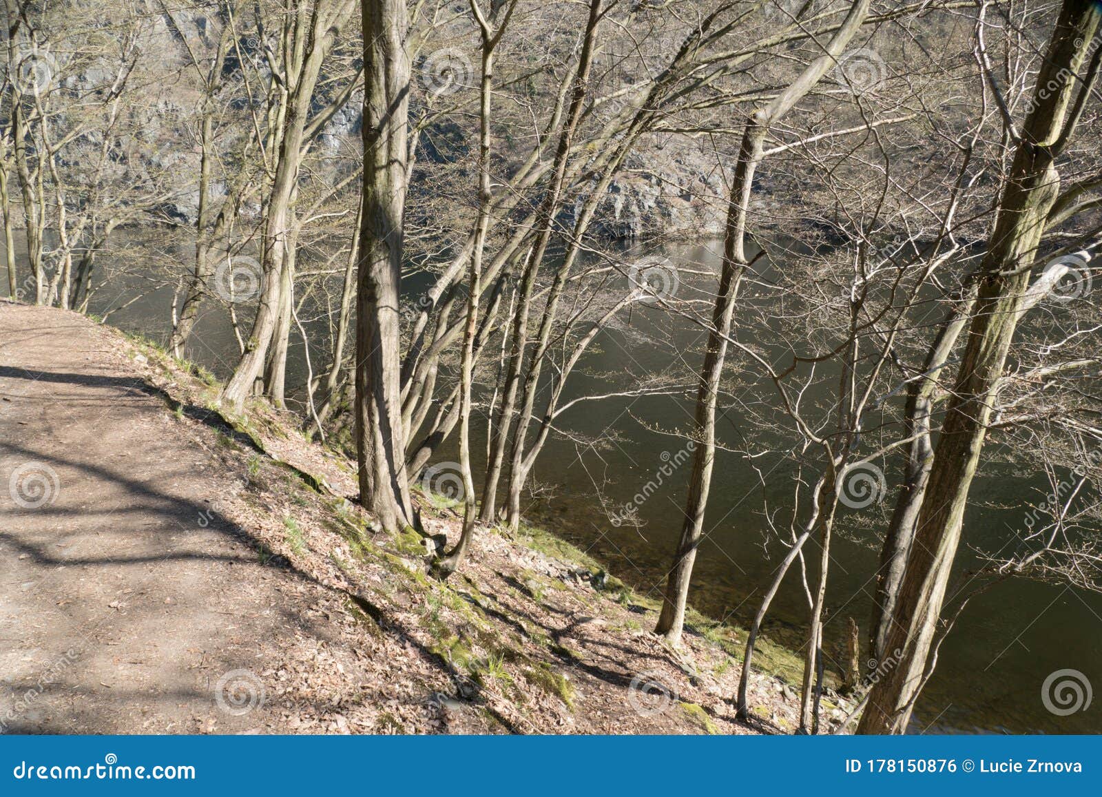 Spring on a Creek in the Forest Stock Photo - Image of outdoor, quiet ...
