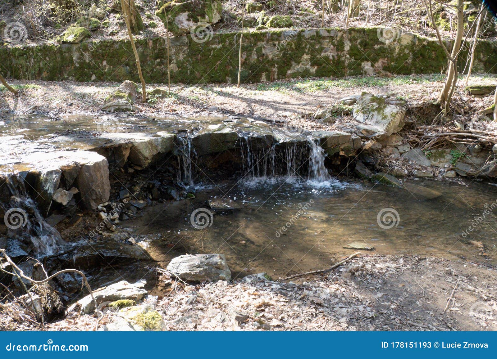 Spring on a Creek in the Forest Stock Image - Image of moss ...