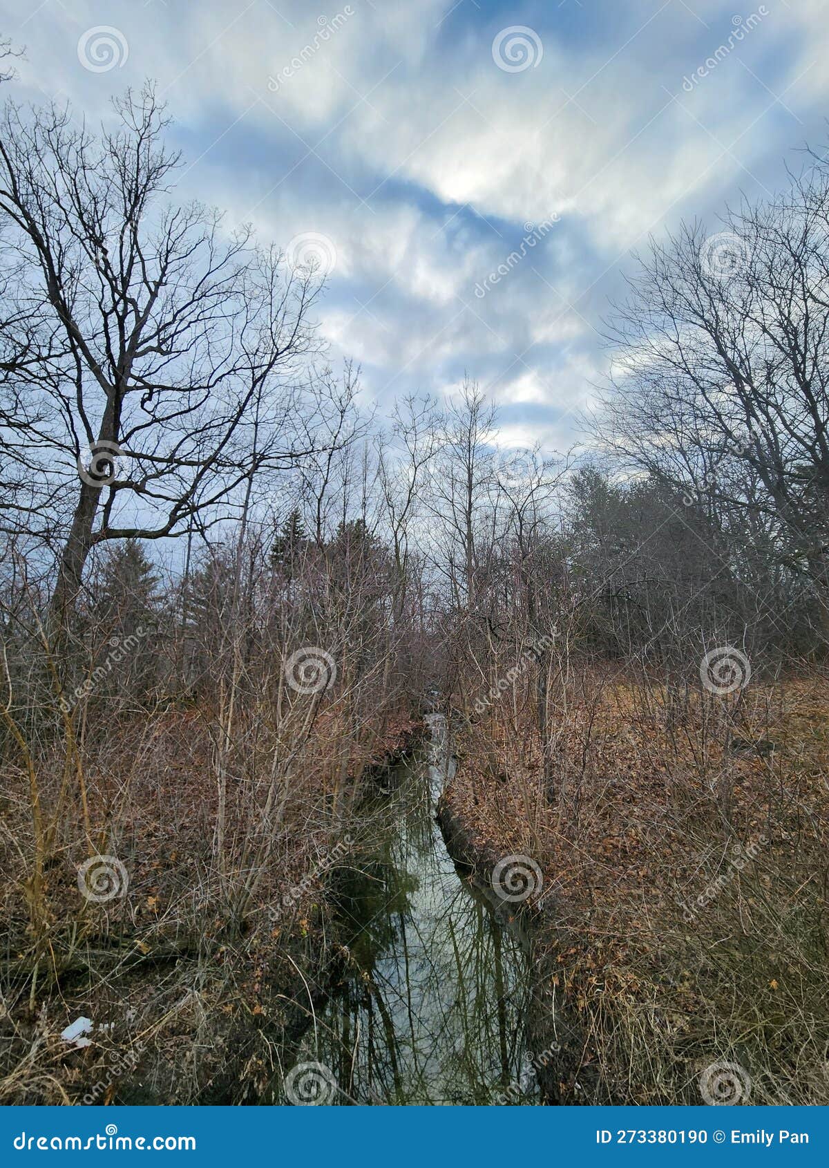 Spring Creek River Water stock photo. Image of frost - 273380190