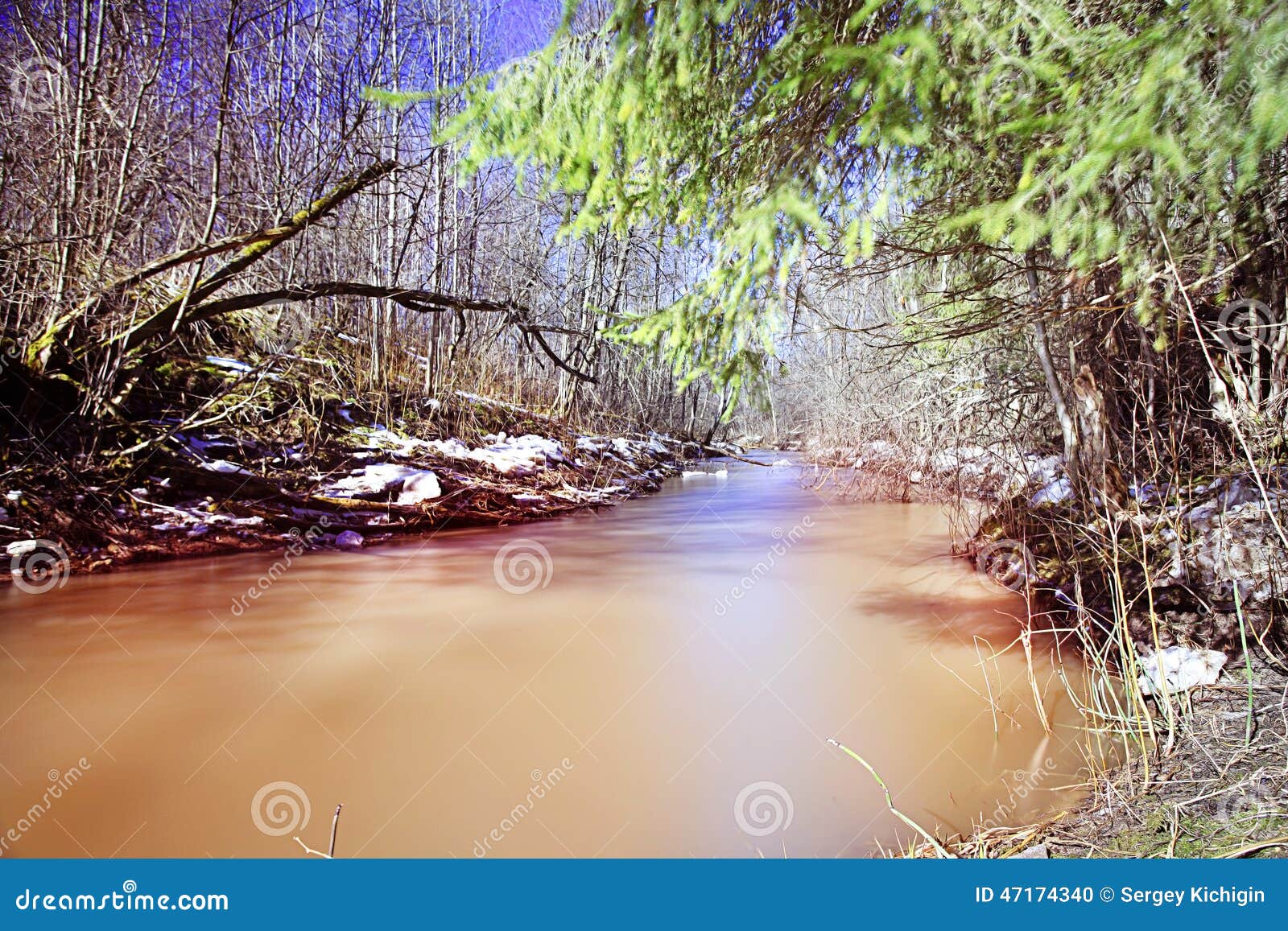Spring Creek Water Landscape Stock Photo - Image of fast, natural: 47174340