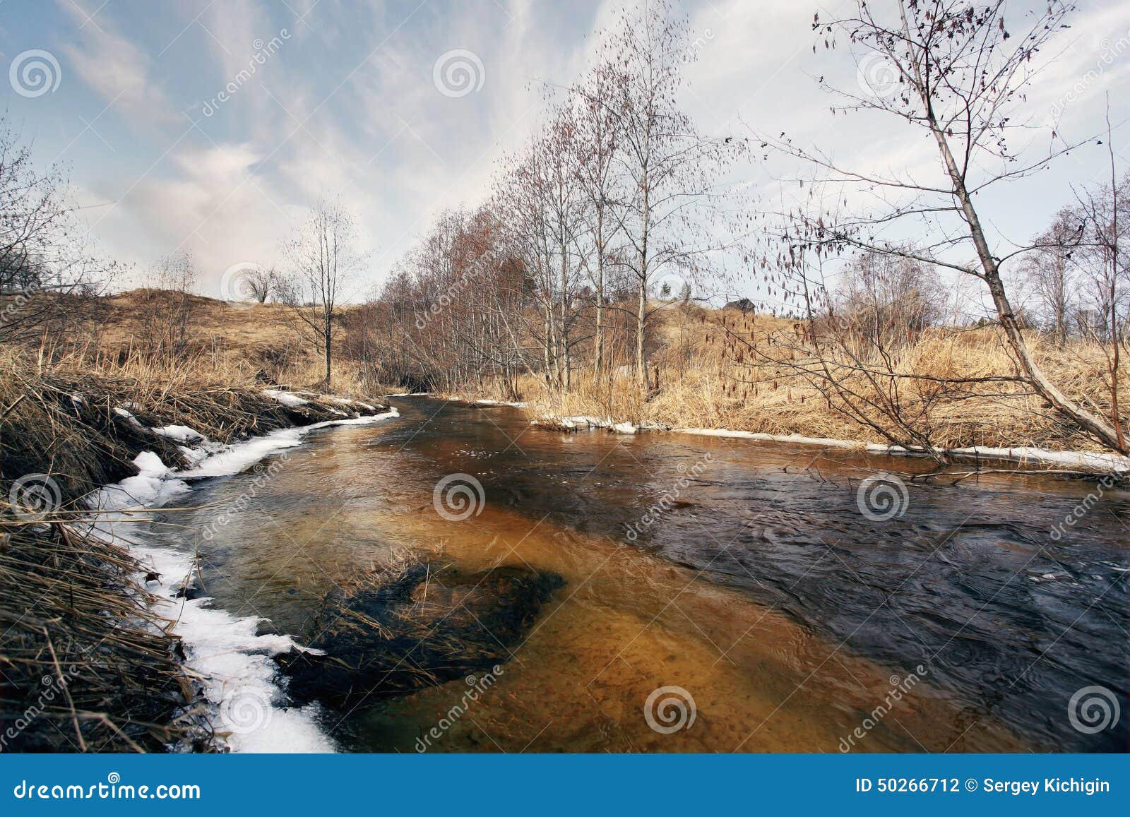 Spring Creek Water Landscape Stock Photo - Image of green, flowing ...