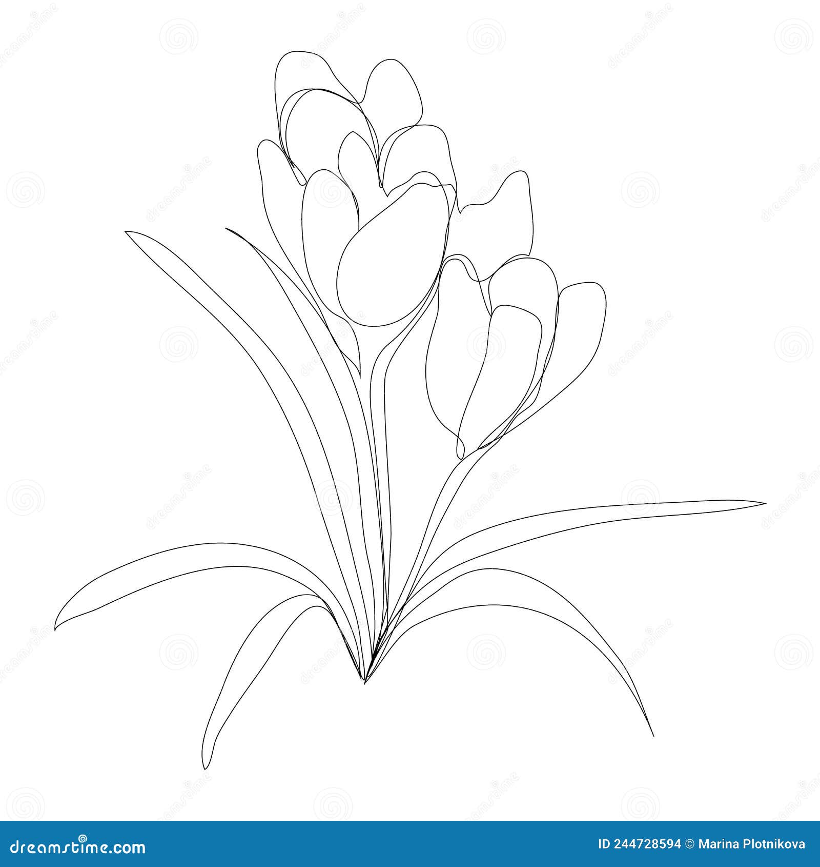 Spring Crocus Flower in Continuous Line Art Drawing Style. Minimalist ...