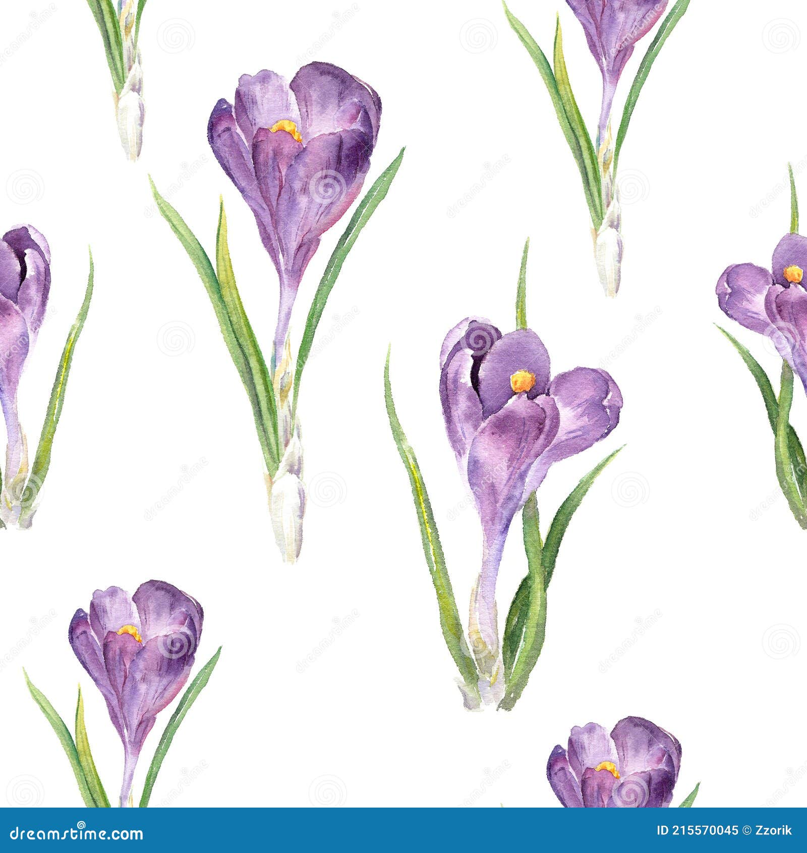 Spring Crocus Border Cartoon Vector | CartoonDealer.com #51782627