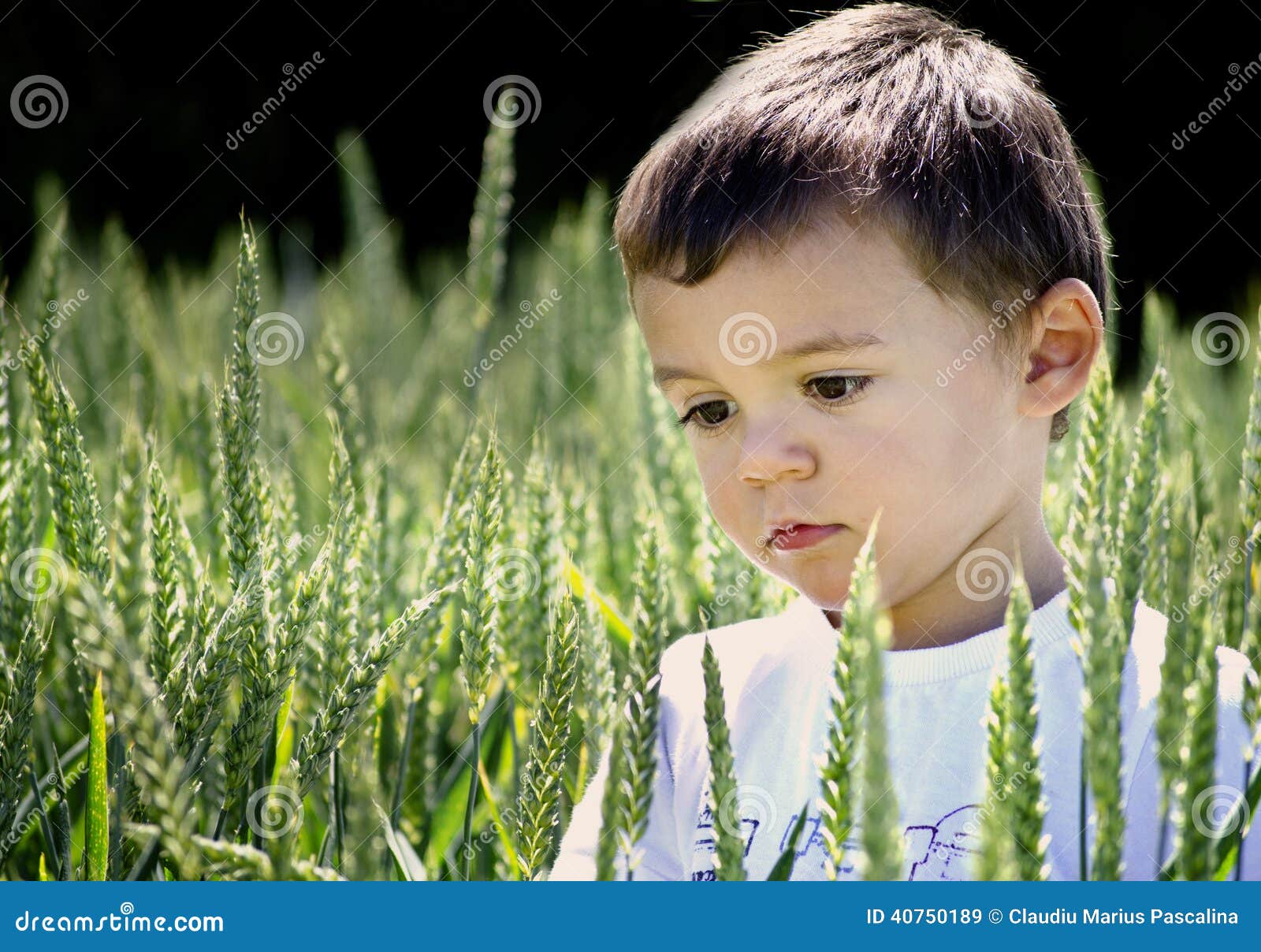 Spring cute boy stock image. Image of nature, activity - 40750189