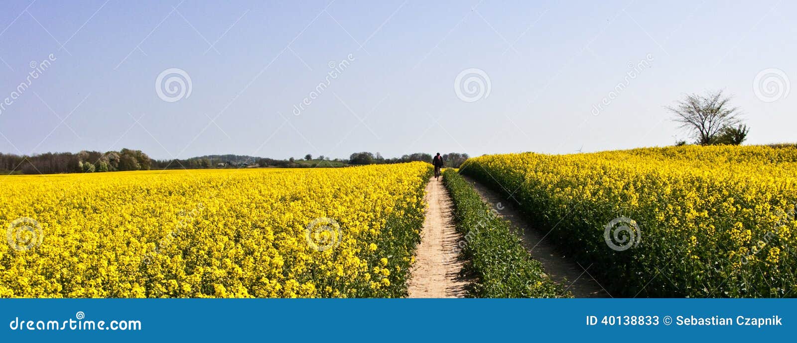 Spring cycling stock image. Image of dirtpath, outdoor - 40138833